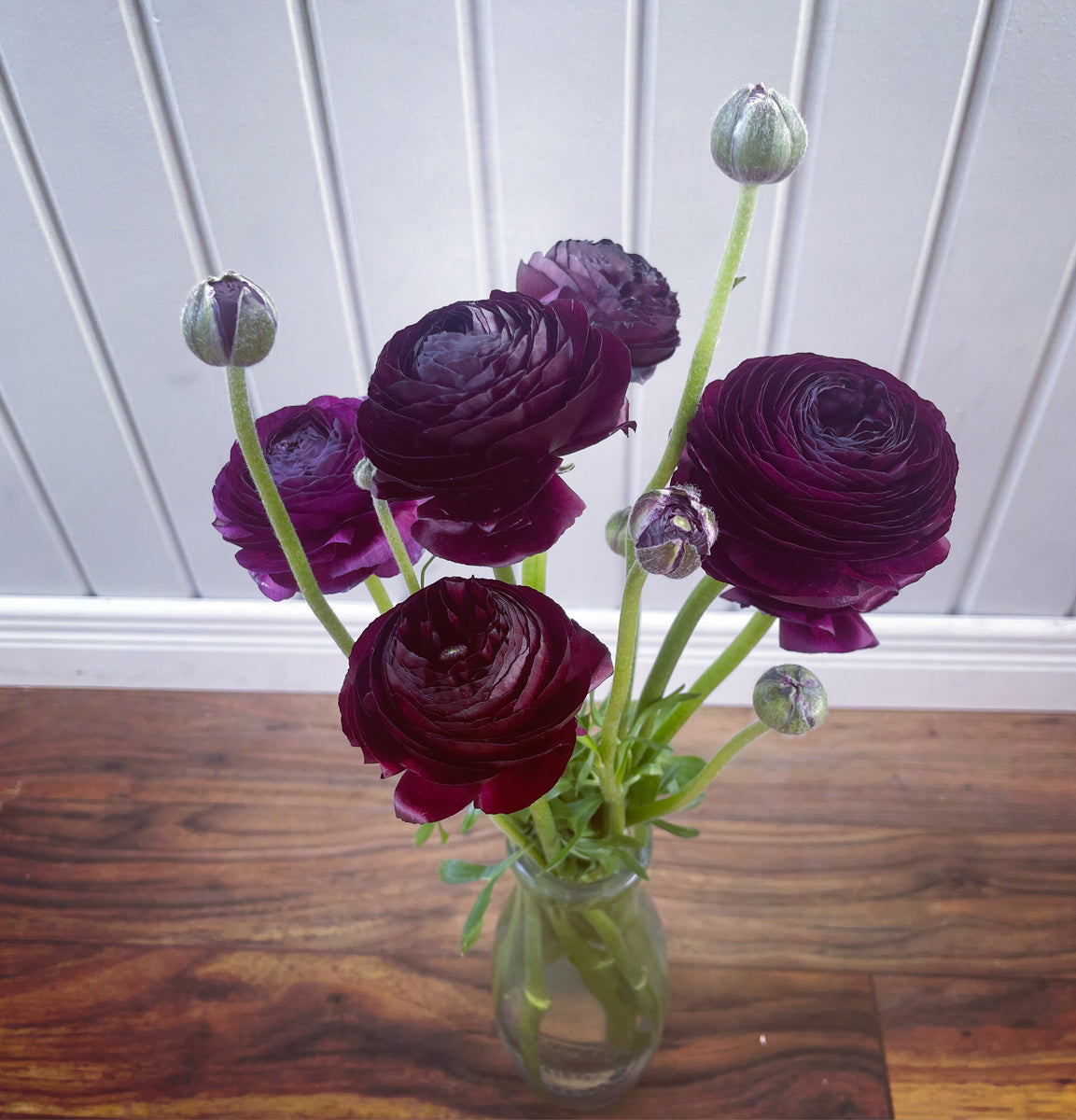 Ranunculus Bunch | Wilder & Rain Flowers